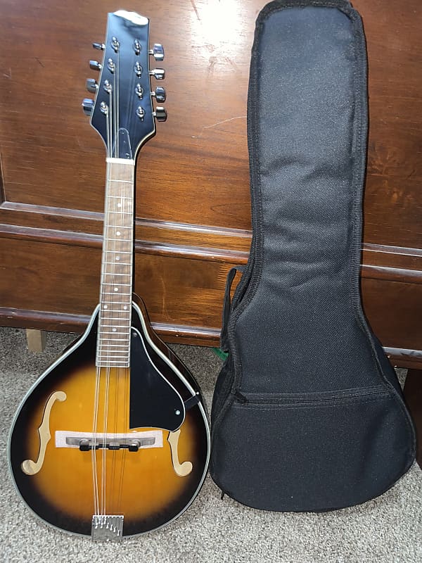 hal leonard mandolin - pretty much new | Reverb