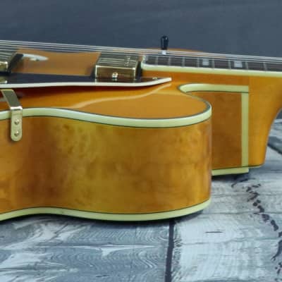 Samick LaSalle’ Series JZ-2 Hollow Body Electric Guitar with | Reverb