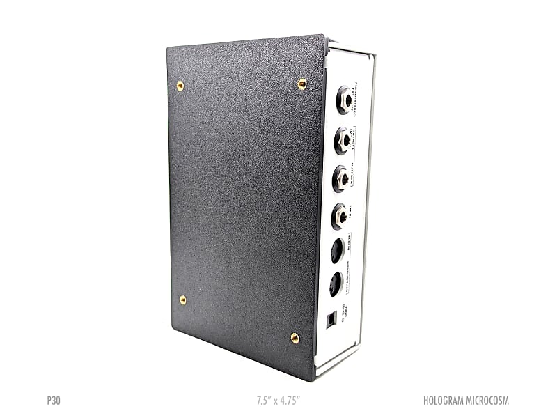 Hologram Microcosm – Pedal Plate (Temple Audio Quick Release, | Reverb