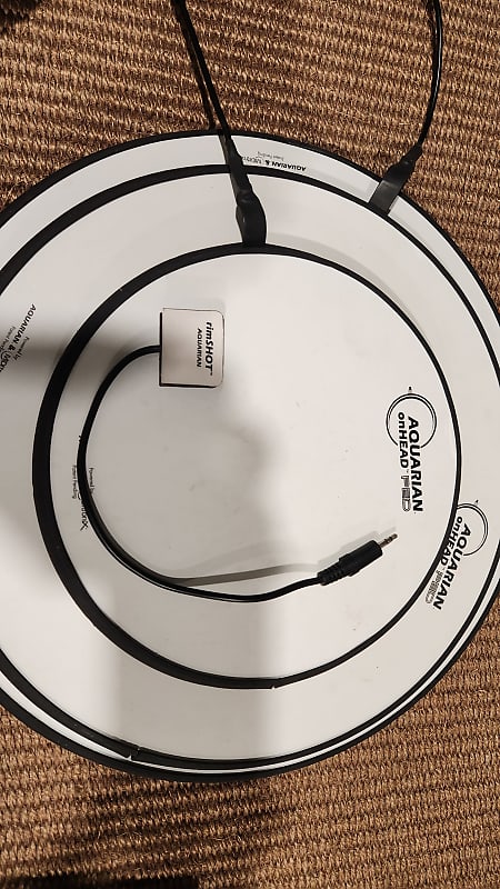 Aquarian RimSHOT 2018 | Reverb