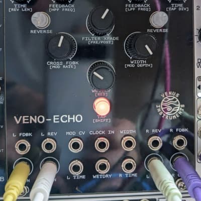 Venus Instruments Veno-Echo 2022 - BLack | Reverb