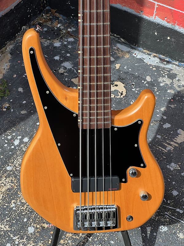 Status Shark 5-String Bass 1998 ultra cool affordable UK made | Reverb