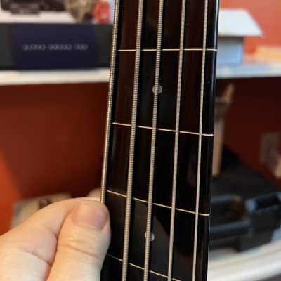 Pedulla Pentabuzz 5 String Fretless Bass | Reverb