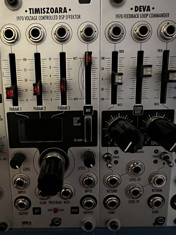 Xaoc Devices Timiszoara + Deva 2020s - Silver | Reverb