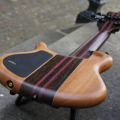 Mayones Cali 4 Mini Bass 2022 | Reverb