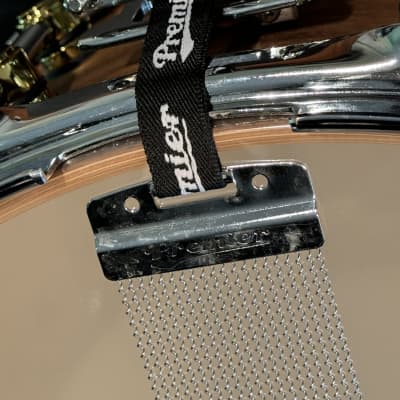 Premier One Series Snare Drum "The Thorpe Acre" 14"x5.5" - | Reverb