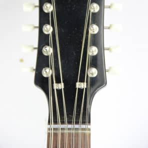 EKO Cobra 12 string electric guitar NOS Unplayed! 1960's | Reverb