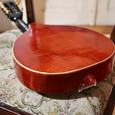 Masterbuilt Pre-war German Mandolin, Flame Maple, 1930s – | Reverb