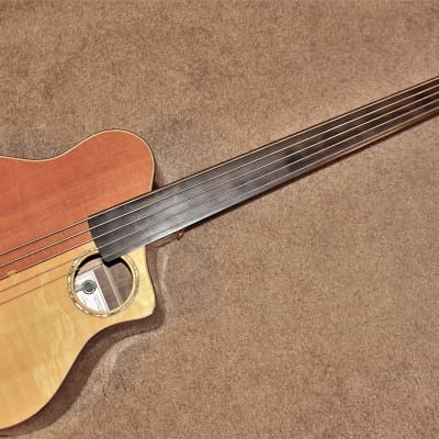 Harry Fleishman 'Dragonfly'. 1995 One of a Kind Acoustic | Reverb