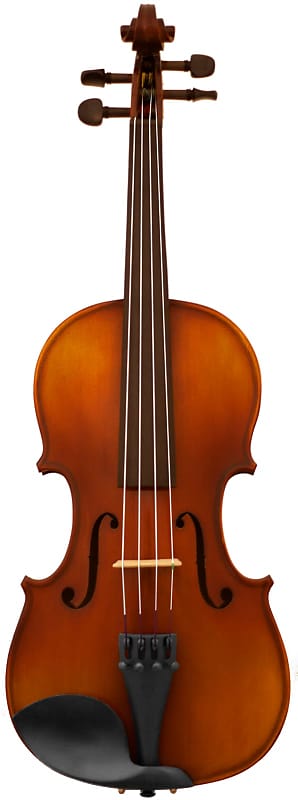 Maple Leaf Strings Apprentice Collection Violin MLS120 VN 4/4 | Reverb