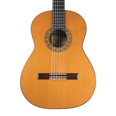 Raimundo Model 145 Palo Santo Flamenco Guitar | Reverb UK