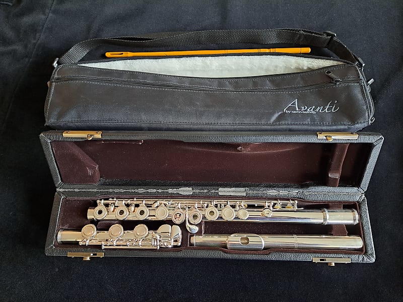 Avanti-Brannen 1000 Intermediate Flute Sterling Silver | Reverb
