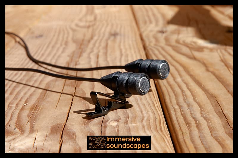 Earsight STANDARD V2 - XLR - 3m cable - field recording | Reverb