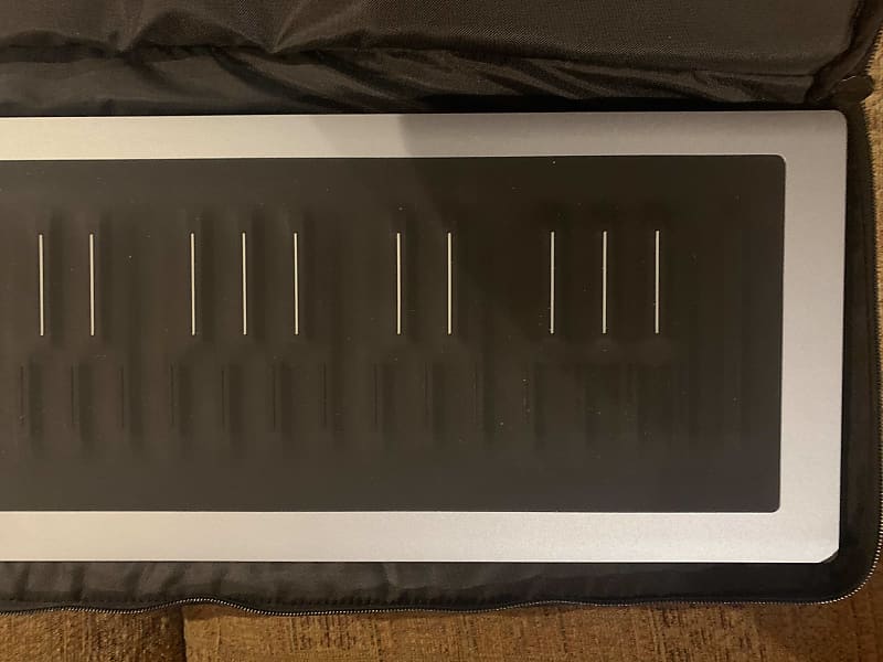 ROLI Seaboard Rise 49 (Version 2) - Silver | Reverb