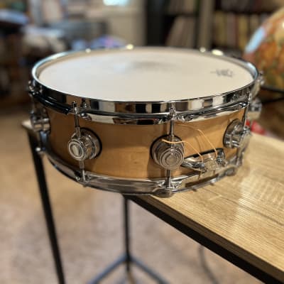 DW Maple Snare Drum - 5.5x14 | Reverb