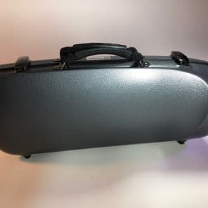 Eastman Fiberglass Trumpet Case | Reverb