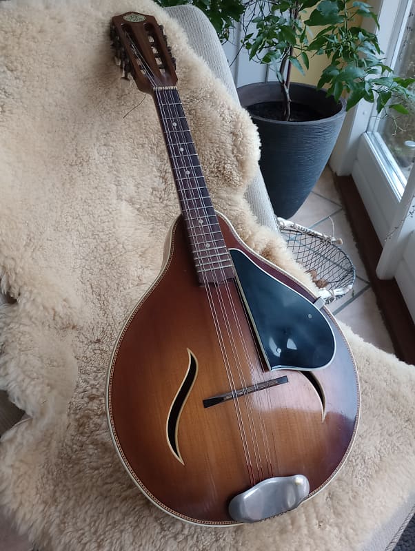 Otwin Archtop Mandolin 1950s | Reverb