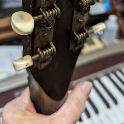 Harmony Singing Cowboys 12-Fret Parlor Flattop Acoustic | Reverb