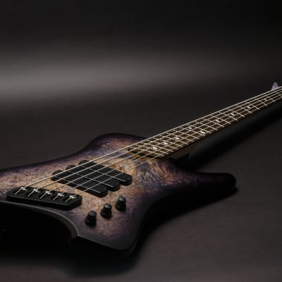 Dingwall D-Roc Custom 5 2025 - Trans Black Burst | Reverb