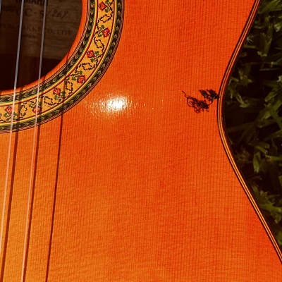 Vintage Yamaha GC5 1969 Concerto Classical Guitar With Case- | Reverb