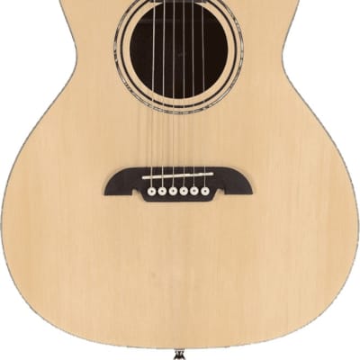 Alvarez RS26 Short-Scale Student Model Acoustic with Gig Bag | Reverb