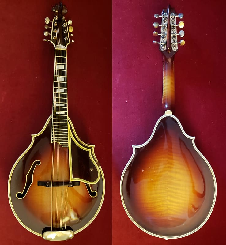 D'Angelico Mandolin 1940 Sunburst | Reverb