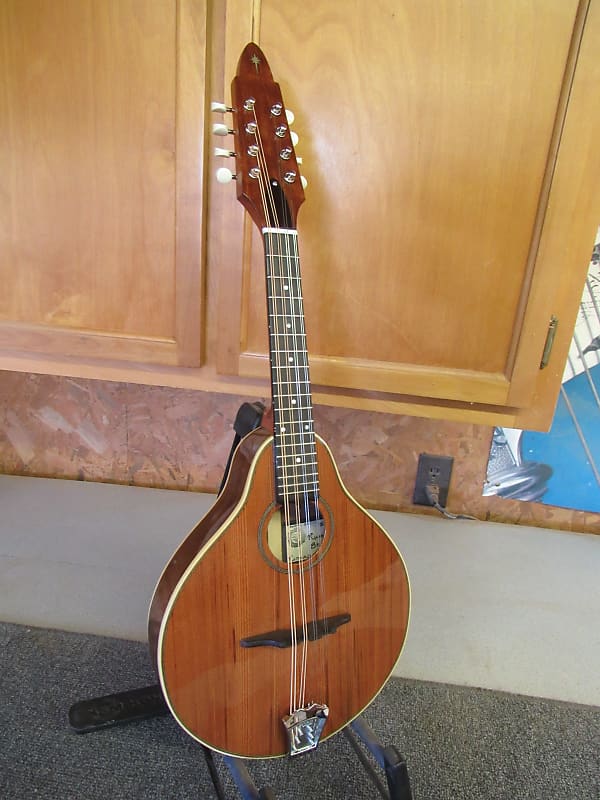 Beard Celtic Mandolin | Reverb