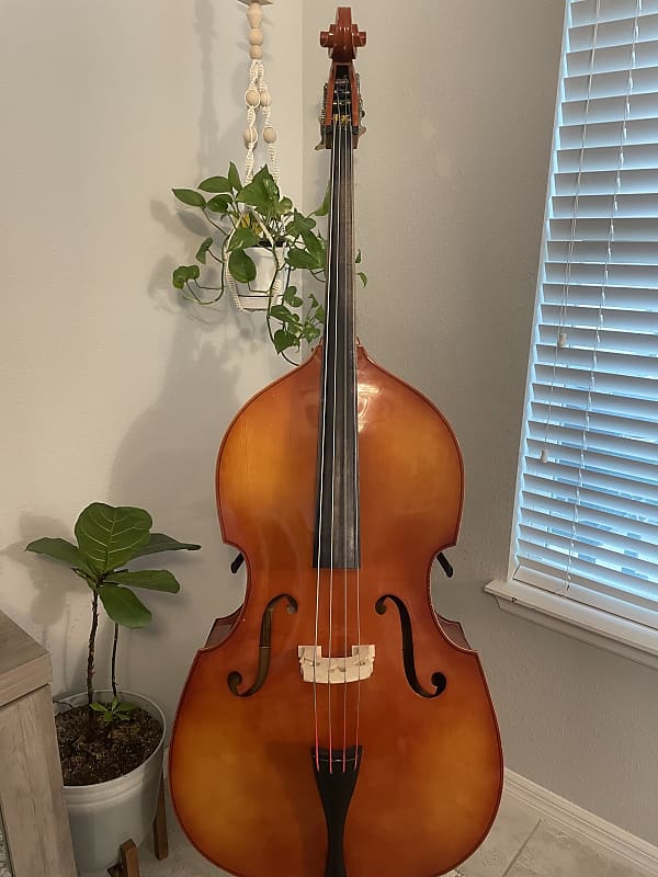 Glaesel Gamba 2004 | Reverb