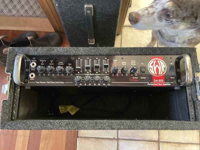 SWR Sm500 | Reverb