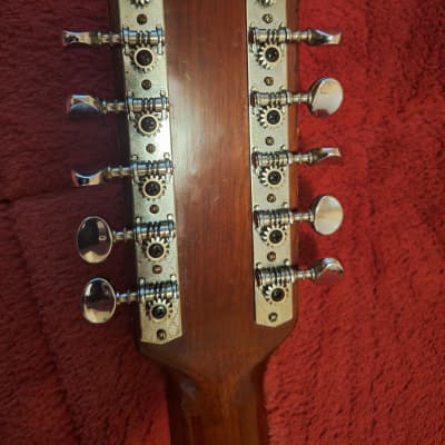 Ventura Bruno V-17 12 String Acoustic Dreadnought Guitar | Reverb