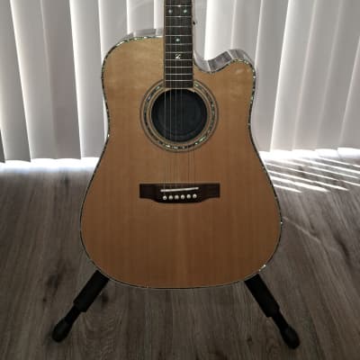 ZAD900CE Solid Spruce/Rosewood Acoustic Electric AURA Pro | Reverb