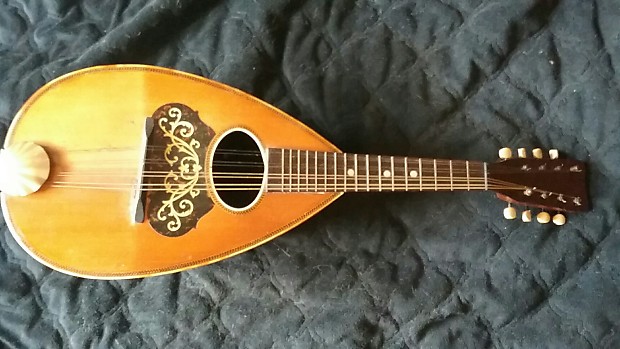 Mandolin Gourd-style 1905 Spruce/rosewood | Reverb