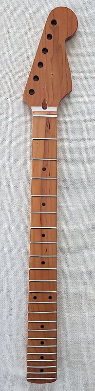 Strat Roasted Canadian Maple Neck, Maple Fretboard, Hi Gloss | Reverb