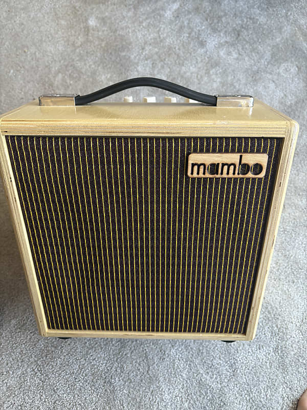 Mambo Amp (UK handmade polytone) Wedge 2020 | Reverb