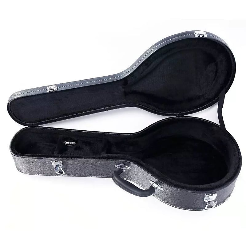 A-Style Microgroove Pattern Mandolin High-Class Leather Case | Reverb