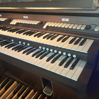 Rogers Alexandria Organ w/ 32-Note Negative Concave | Reverb