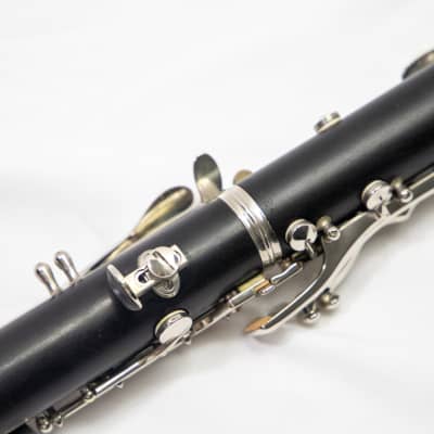 Buffet Buffet Crampon R13 Professional Wood Clarinet, Shop | Reverb