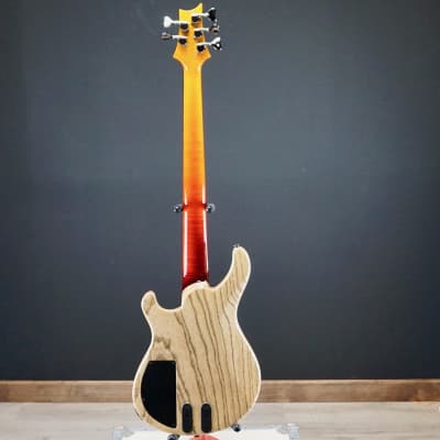 PRS NOS 2017 Namm Show Private Stock Gary Grainger 5 String | Reverb