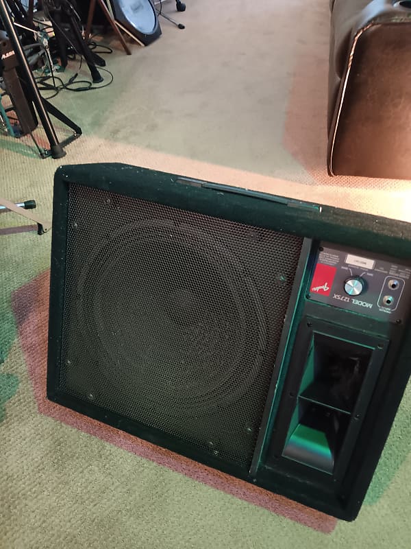 Fender 15 speaker 1999 - Black | Reverb