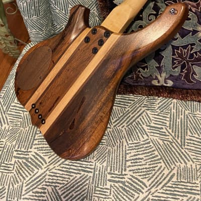 Birdsong Skyrider - anniversary special build | Reverb