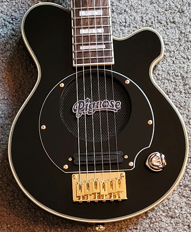 Pignose PGG-200 Electric Guitar / Kiss coffin case | Reverb