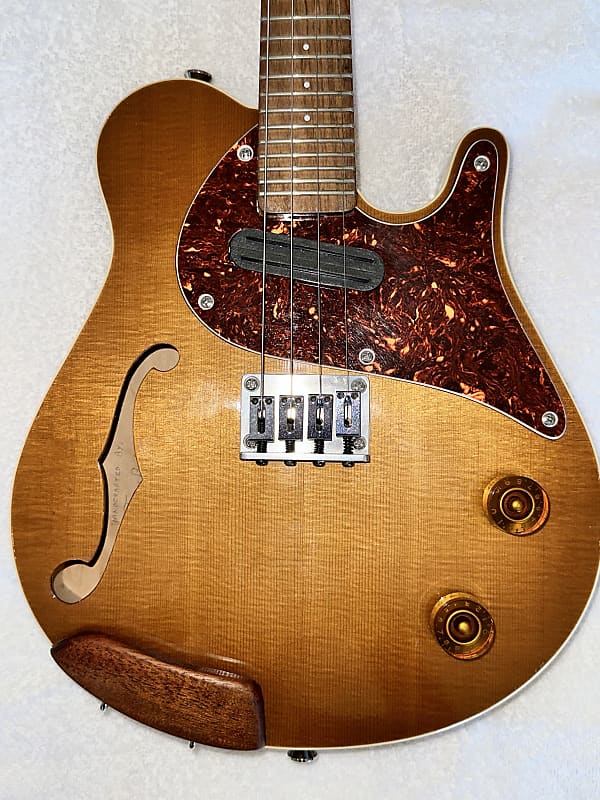 Custom Semi Hollow Body Electric Mandolin made by Terry Bales | Reverb