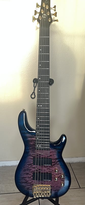 Wolf Wolf - Blue/Purple | Reverb