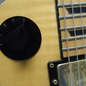 Electra Omega X230 77-81 Natural w/ OHSC | Reverb