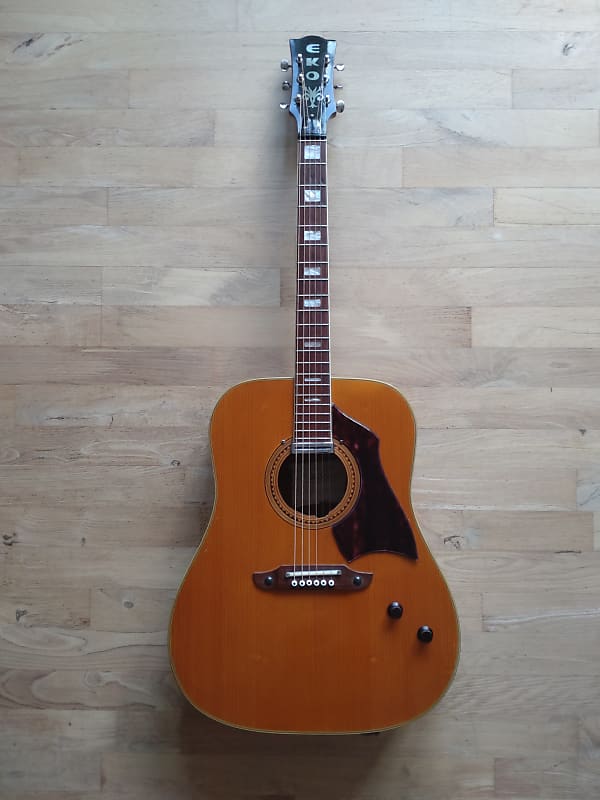 Eko Rio Bravo 6 | Reverb