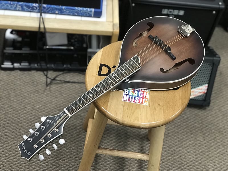 Gold Tone GM-55A Solid Top A Mandolin | Reverb