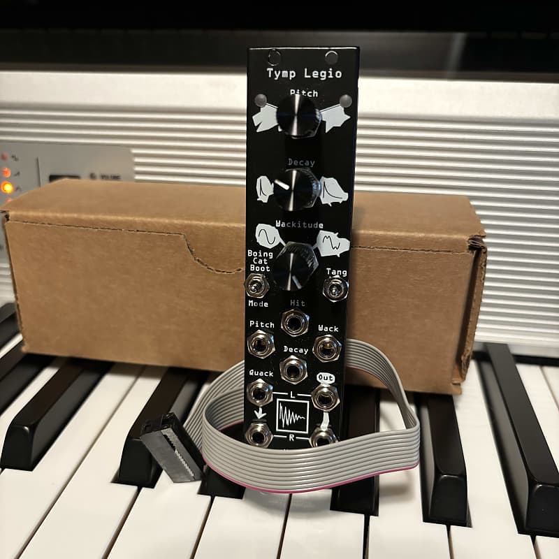 Noise Engineering Tymp Legio 2022 - Black | Reverb