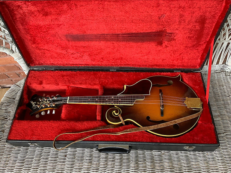 Vega VM75 70’s Sunburst all solid and carved F style Mandolin | Reverb