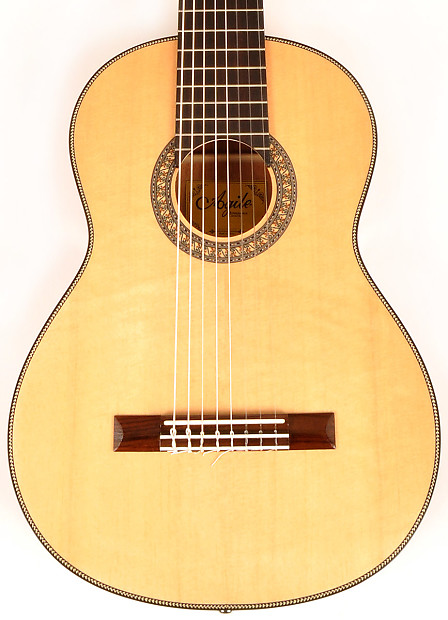 Agile 8 String Classical Acoustic / Electric Guitar | Reverb