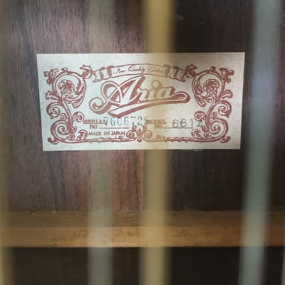 Vintage Aria 12 String Acoustic Guitar Japan 1976 | Reverb